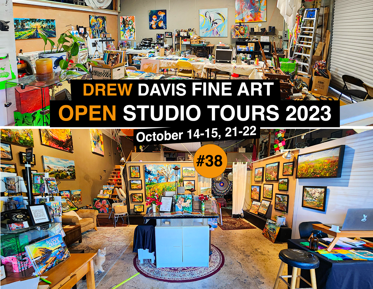 Drew Davis Fine Art