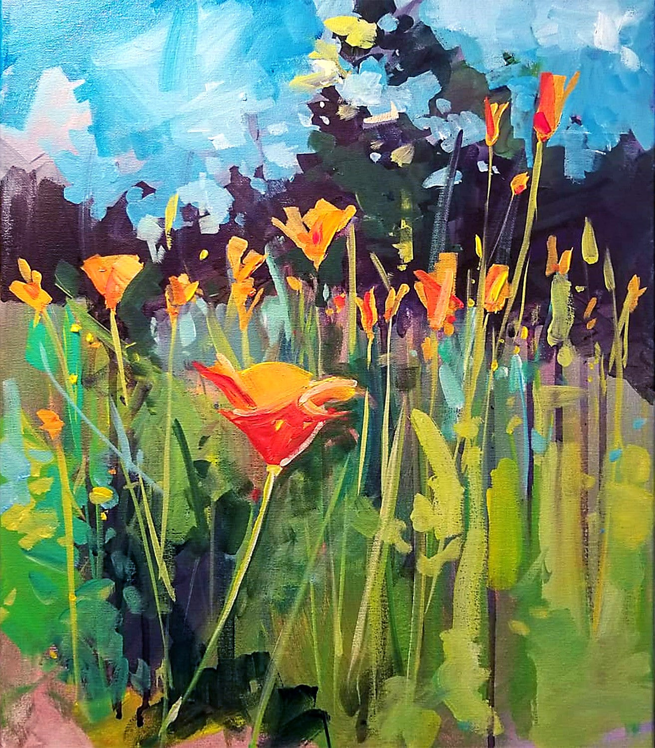 Poppies by Drew Davis — Canvas Print, 16×20 – Drew Davis Fine Art
